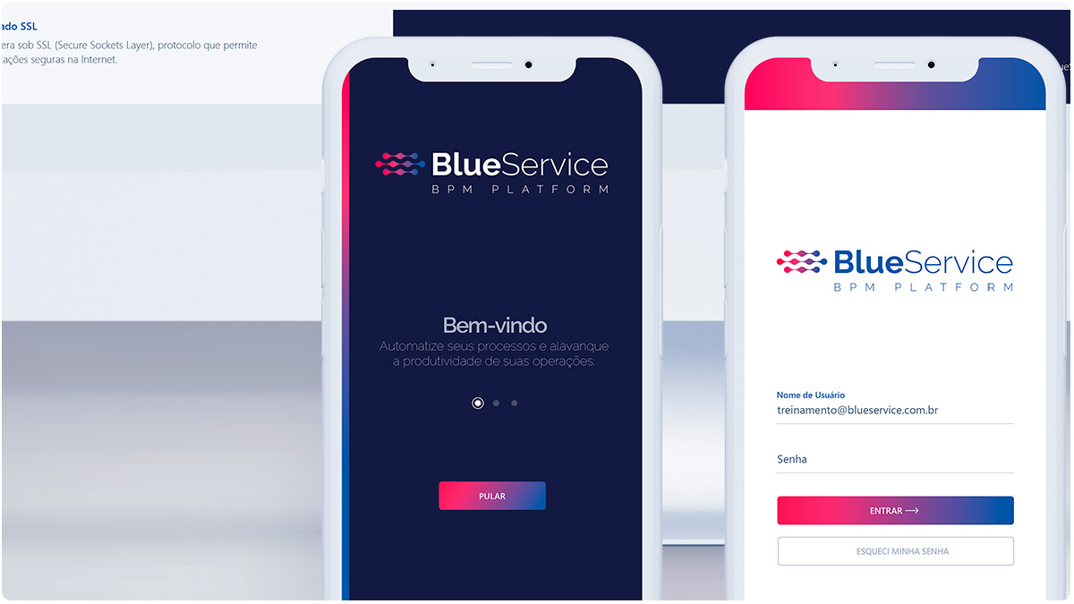 Tudo em uma única solução: Conheça as funcionalidades da Blue Service ...
